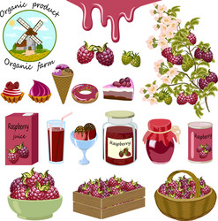 Raspberries Vector Images (over 26,000)