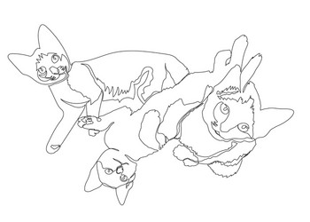 Continuous line drawing kitten Royalty Free Vector Image