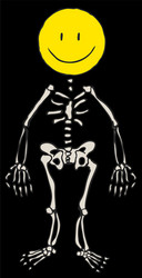 Skeleton on a black background Royalty Free Vector Image