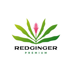 Red ginger flower tree logo icon Royalty Free Vector Image