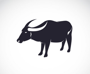 Buffalo Horn Vector Images (over 10,000)