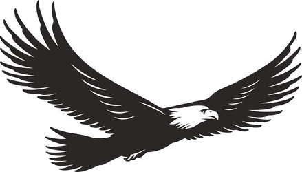Flying Eagle Vector Images (over 37,000)