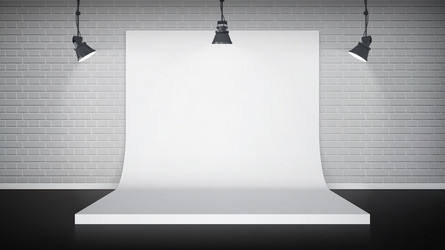 Photography studio photo backdrop and spotlight Vector Image