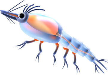 Zooplankton realistic icon Royalty Free Vector Image