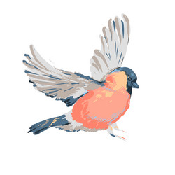 Realistic Bird Vector Images (over 8,200)