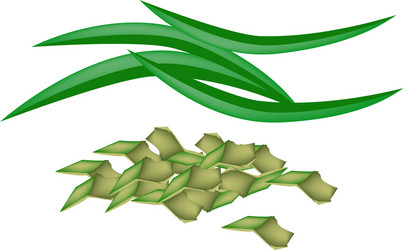 Pandan Vector Images (over 290)