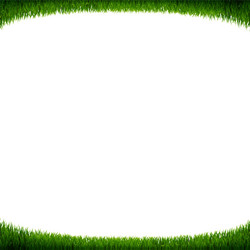 Grass frame borders Royalty Free Vector Image - VectorStock