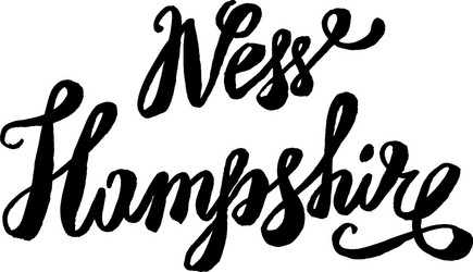 Usa states name phrase brush calligraphy Vector Image