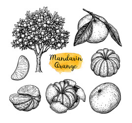 Orange Engraving Vector Images (over 3,400)