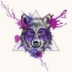 Wolf Triangle Vector Images (over 750)