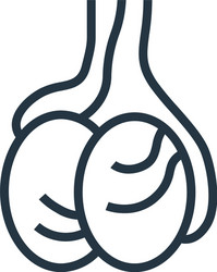 Male Testicles Vector Images (over 1,900)