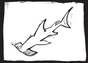 Hammerhead Vector Images (over 1,000)