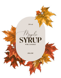 Maple syrup label template Royalty Free Vector Image