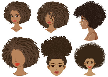 Set of mix afro hair Royalty Free Vector Image