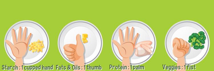 Portion control comparing food nutrition using Vector Image