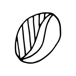Coffee bean hand drawn in doodle style suitable Vector Image