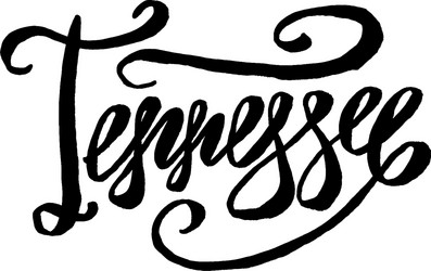 Usa states name phrase brush calligraphy Vector Image