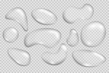 Realistic water drops bubbles rain water foam Vector Image