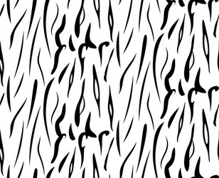 Bengal Tiger Stripe Pattern Vector Images (over 750)