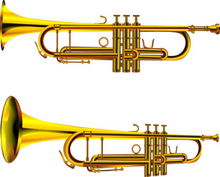 Trumpet Royalty Free Vector Image - VectorStock