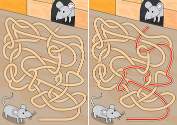 Mouse Brain Vector Images (over 930)