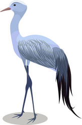 Bird with long legs Royalty Free Vector Image - VectorStock