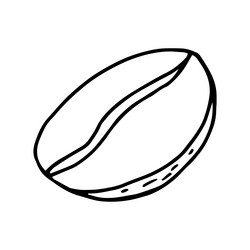 Coffee bean hand drawn in doodle style suitable Vector Image