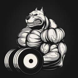 Angry dog Royalty Free Vector Image - VectorStock