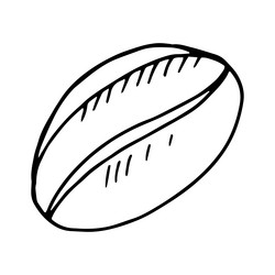 Coffee bean hand drawn in doodle style suitable Vector Image