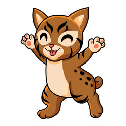 Cute pixie bob cat cartoon Royalty Free Vector Image