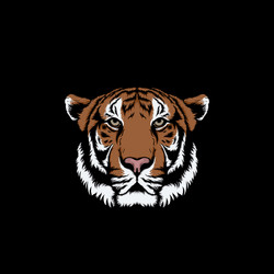 Tiger Rip Vector Images (over 430)