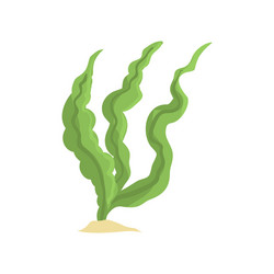 Algae Cartoon Vector Images (over 6,500)