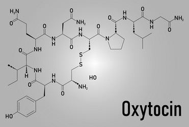 Oxytocin Vector Images (over 150)
