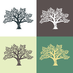 Hand drawn graphic argan tree Royalty Free Vector Image