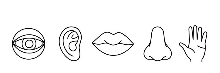 Human Body Outline Drawing Vector Images (over 7,300)