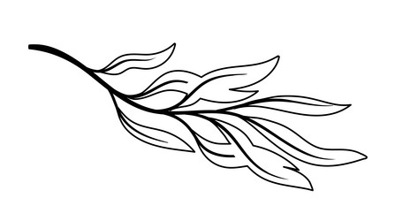 Line art branch Royalty Free Vector Image - VectorStock