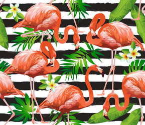 Tropical flamingo bird seamless summer pattern Vector Image