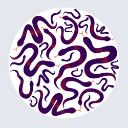 Snakes and lizards round composition in a circle Vector Image