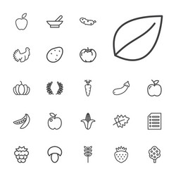 Sweet Potato Tree Vector Images (79)