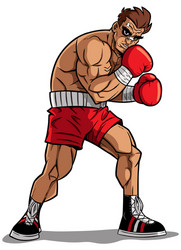 Boxing fighter stance Royalty Free Vector Image