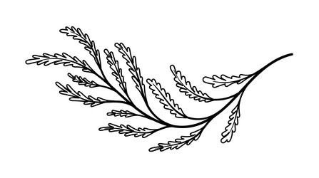 Line art branch Royalty Free Vector Image - VectorStock