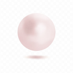 Pearl isolated on transparent background Vector Image