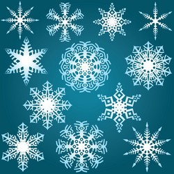 Snowflake set Royalty Free Vector Image - VectorStock