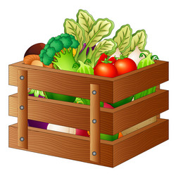 Veggie box with vegetables hand drawn healthy Vector Image