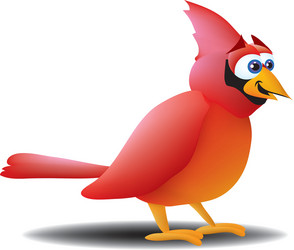 Cardinal Vector Images (over 5,000)