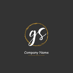 G s gs initial handwriting and signature logo Vector Image