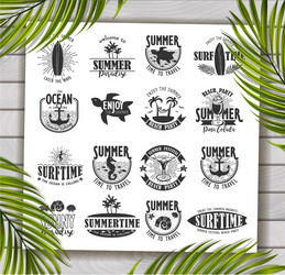 Summer designs on tropical beach background Vector Image