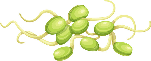Bean Sprouts Vector Images (over 4,100)