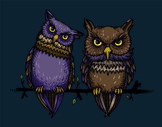 Cartoon image of clever owl Royalty Free Vector Image