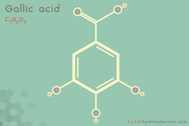 Gallic Acid Vector Images (23)